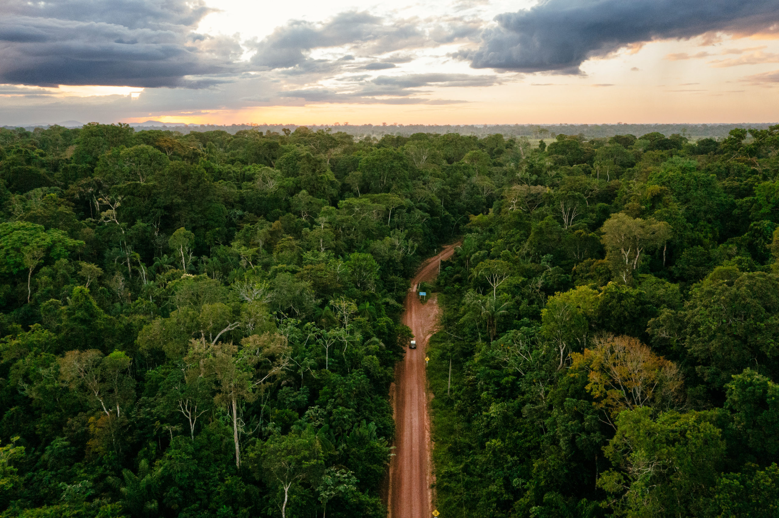 Brazil: Agroforestry - SCF